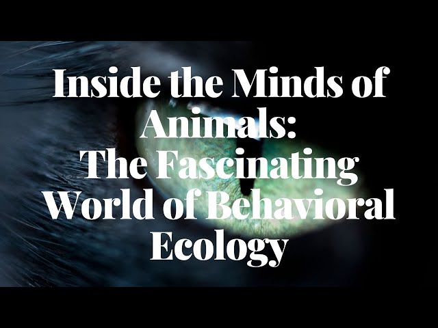 Inside the Minds of Animals | The Fascinatin... | Open Video