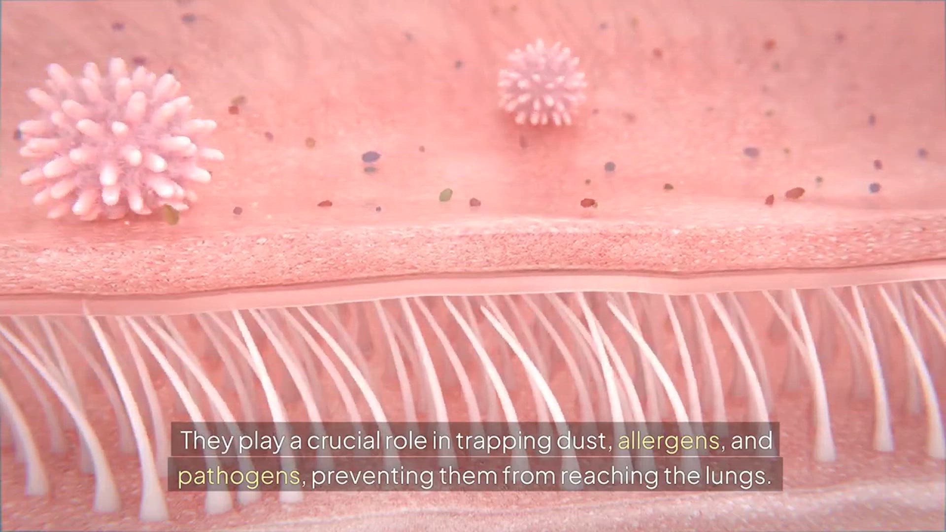 Clearing Mucus from Your Lungs | Open Video