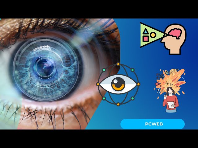 Percepción: Definición, Tipos, Etapas, Factores Que Lo Afectan Y Más.