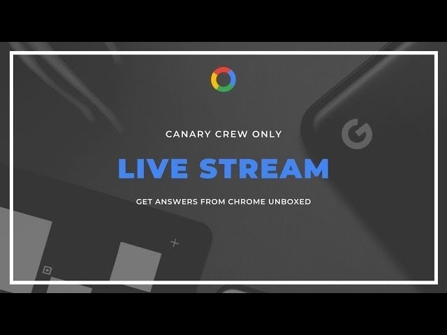 Canary Crew Live Stream 11/19/22