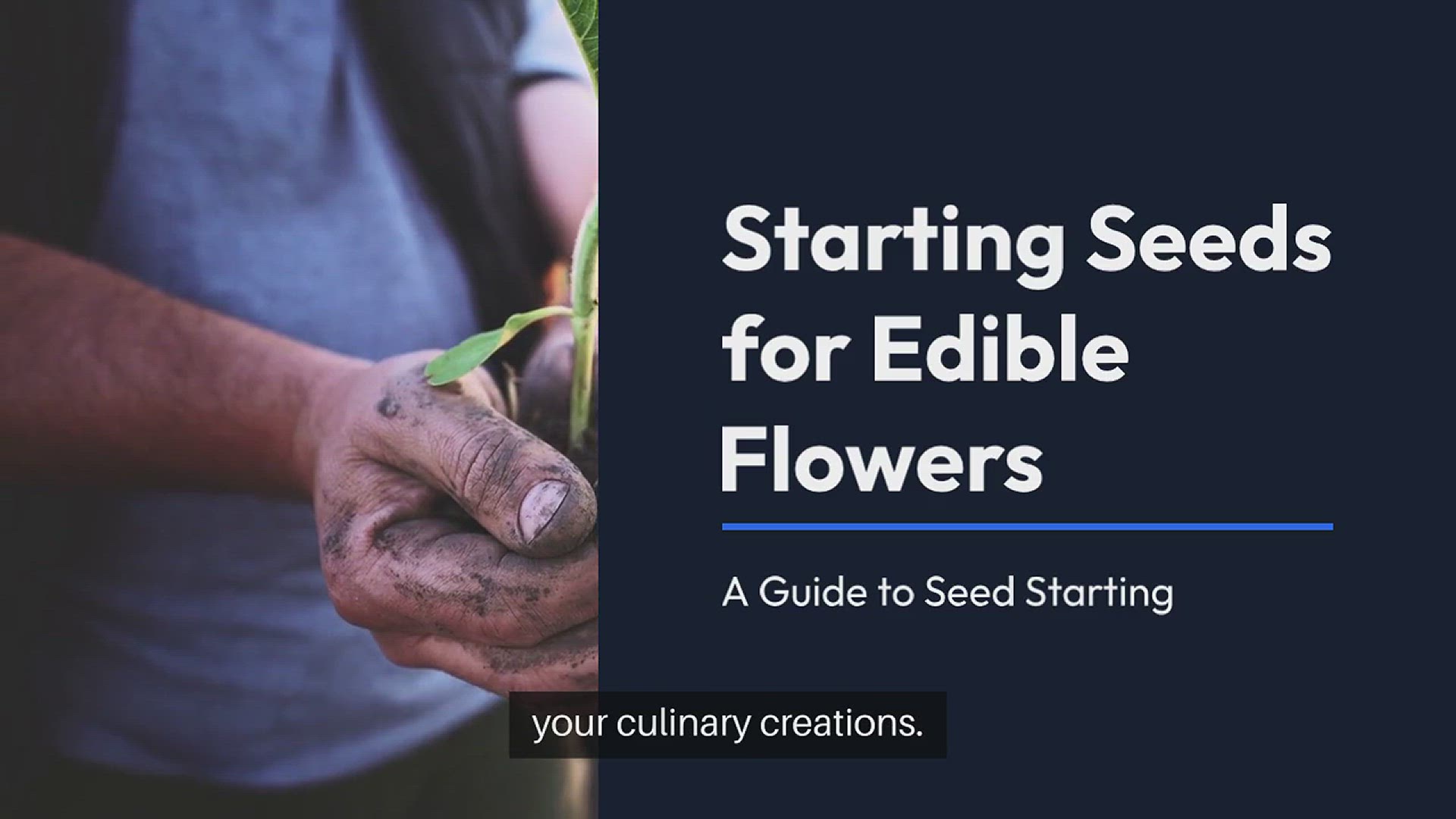 Seed Starting for Edible Flowers | Open Video
