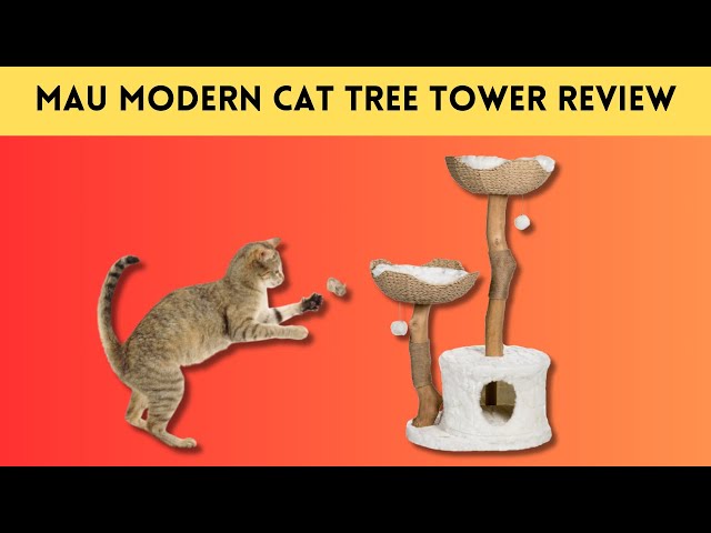MAU Modern Cat Tree Tower Review | Open Video