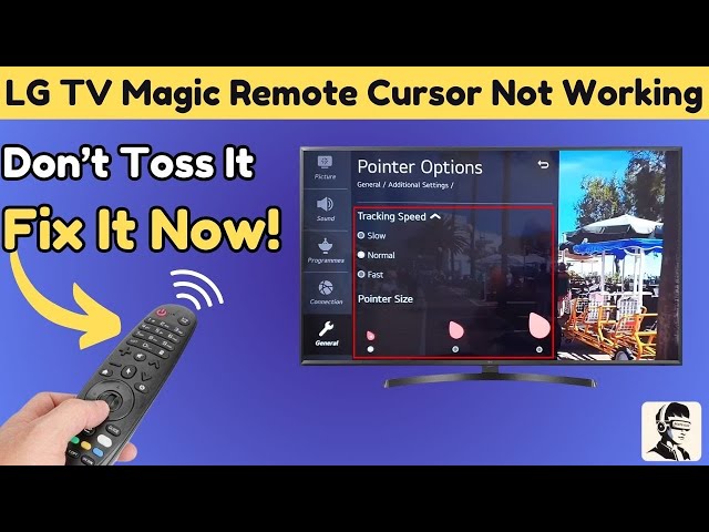 How to Get Your LG Magic Remote Pointer / Cu... | Open Video