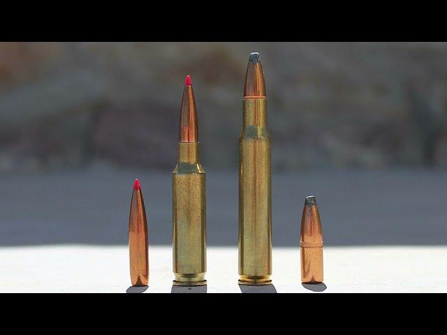 6.5 Creedmoor vs 30-06 Springfield: A Detailed Comparison...