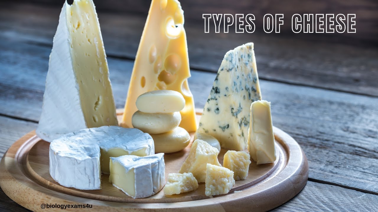 Types of Cheese and Microorganisms | Food Microbiology