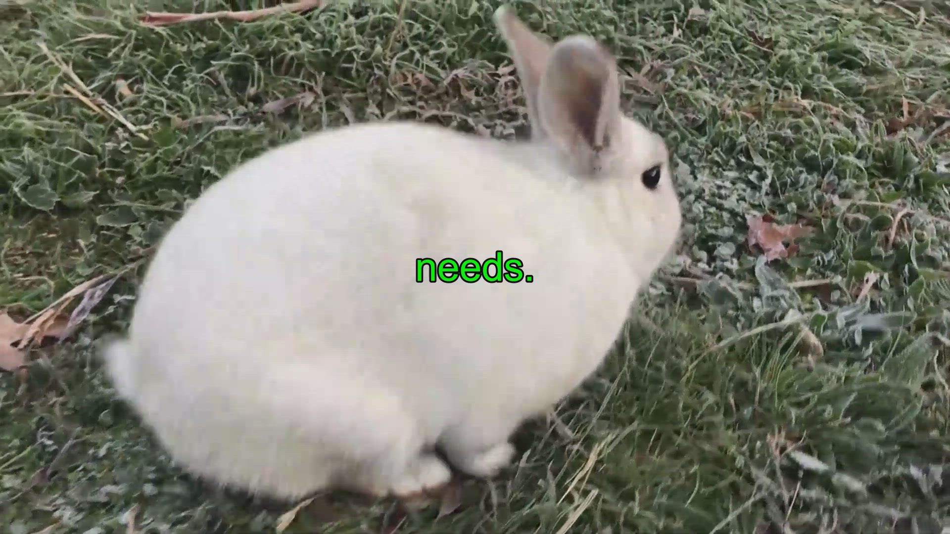 How many or How much - Exercise | English Grammar Online