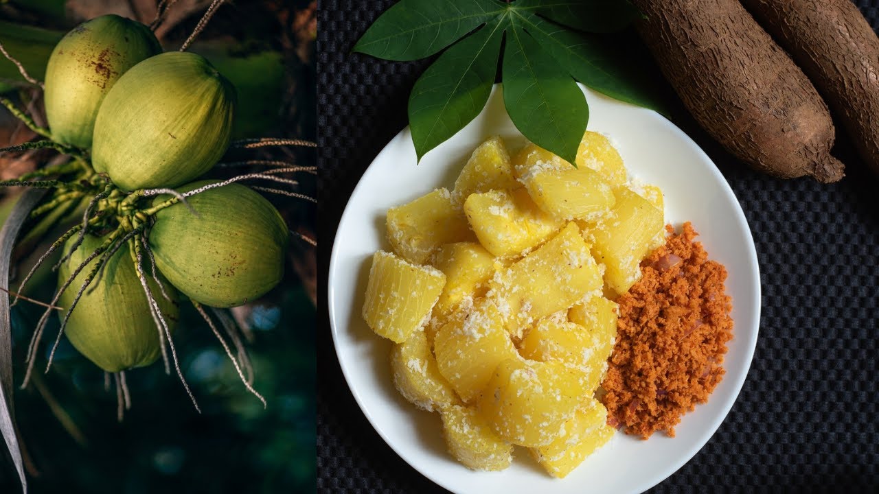 How To Cook With Vesna | A Food, Fitness & Cooking Blog!