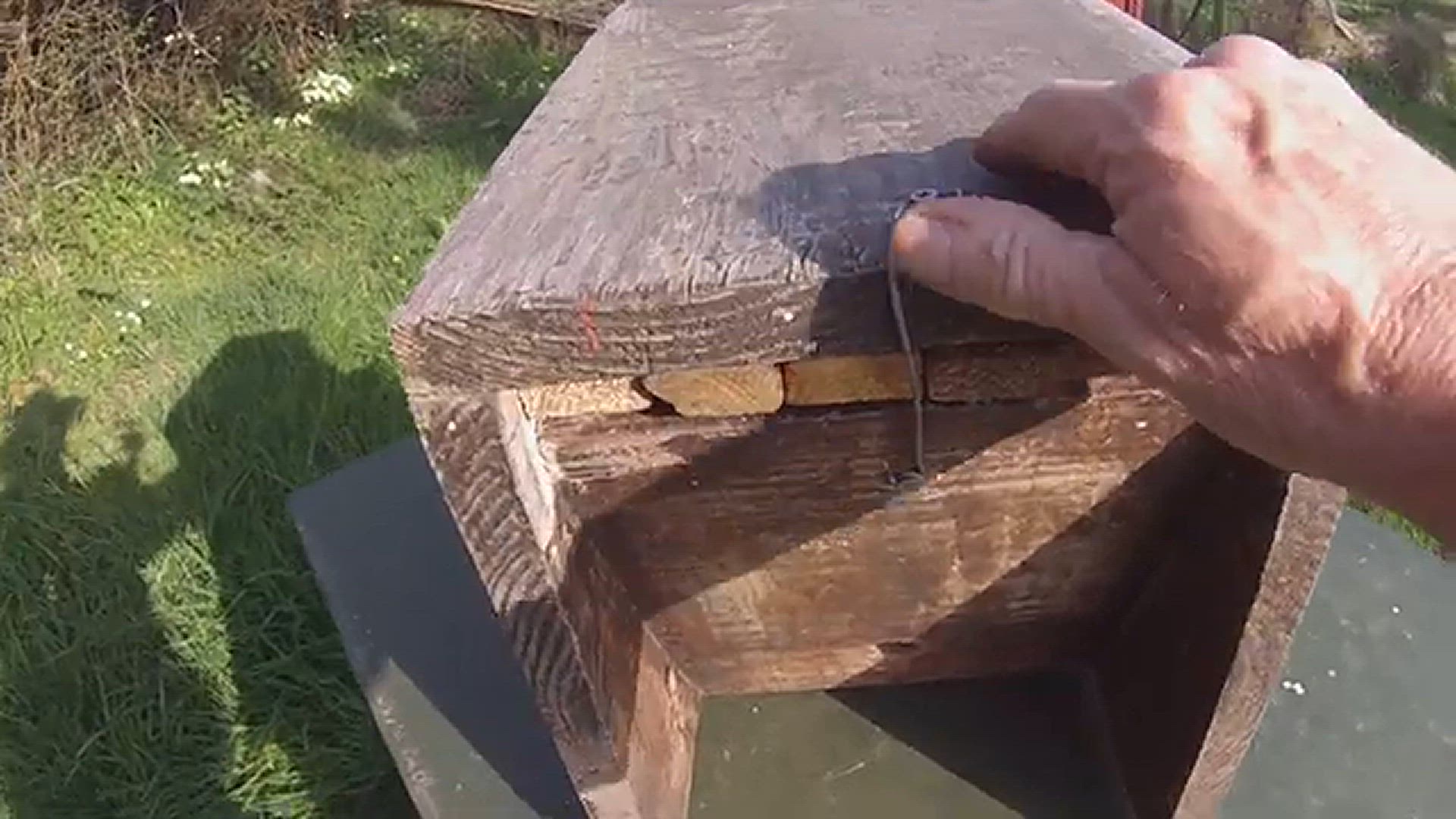 Academy – Topbubbleindex