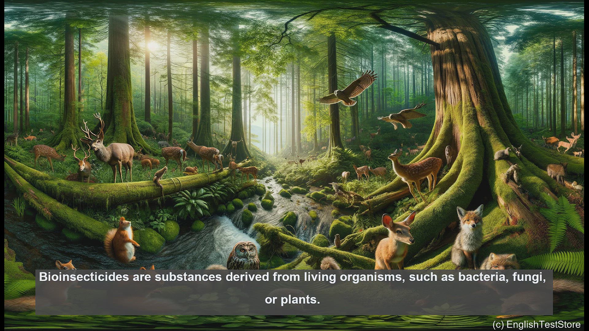 Bioinsecticide in biology | Open Video