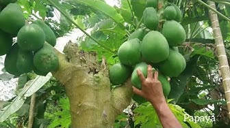 How To Cook With Vesna | A Food, Fitness & Cooking Blog!