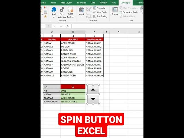 SPIN BUTTON EXCEL | CARA MEMASANG SPIN BUTTO... | Open Video