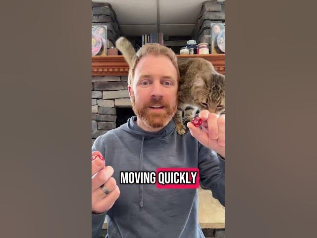 Quick #dnd tip for telling your d12 and d20 apart