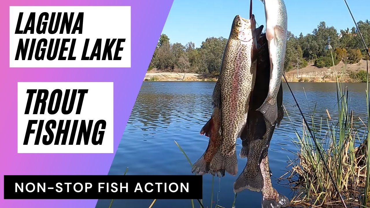 Laguna Niguel Lake - California Trout Fishing