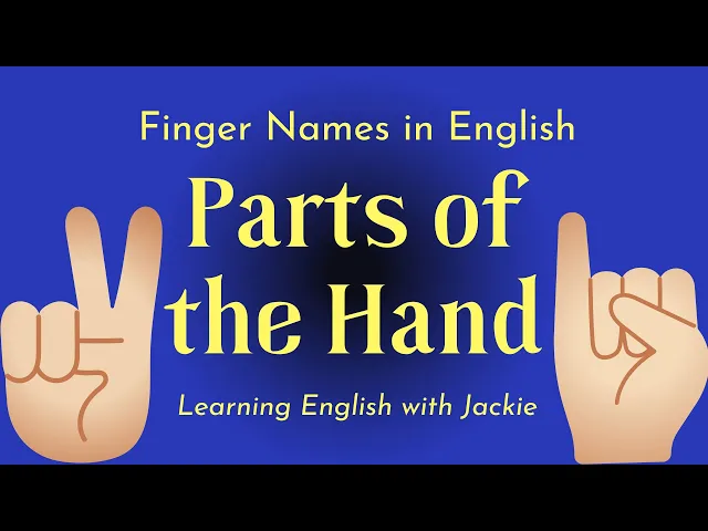 Parts of the Hand | Finger Names in English