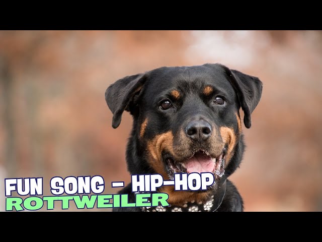Rottweiler Rap 🎤🐾 | Open Video